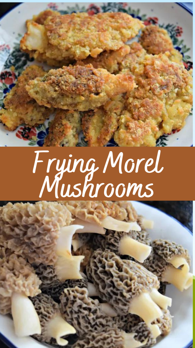 Frying Morel Mushrooms for Beginners Recipe | Cheff Recipes