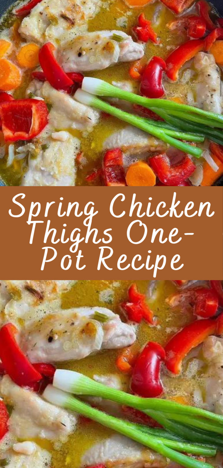 Spring Chicken Thighs One-Pot Recipe | Cheff Recipes