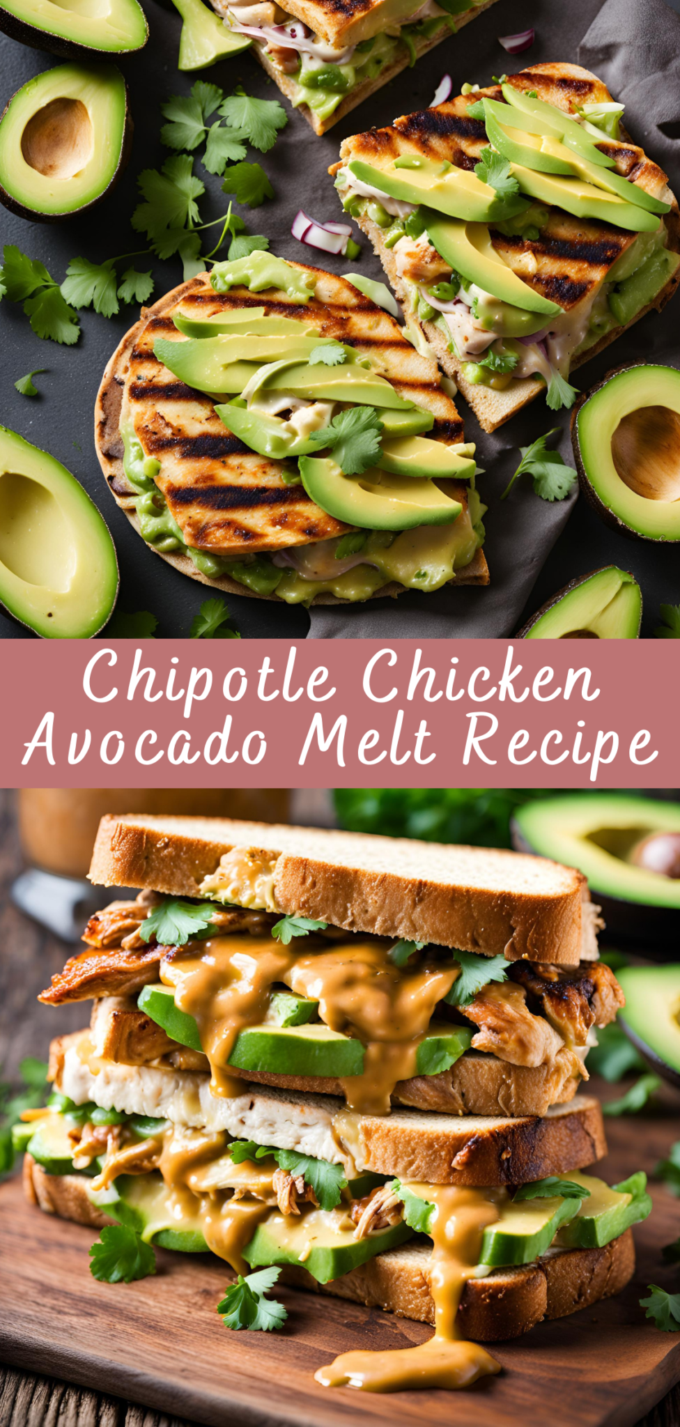 Chipotle Chicken Avocado Melt Recipe | Cheff Recipes