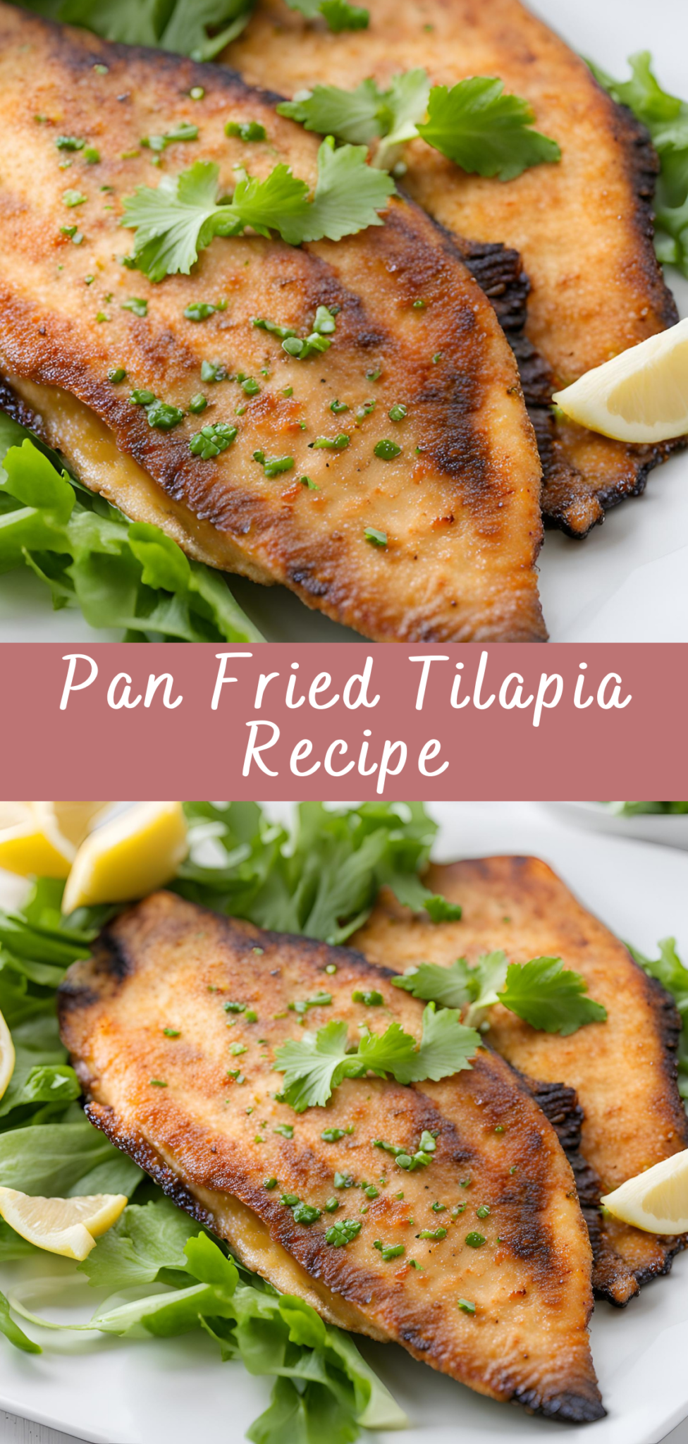 Pan Fried Tilapia Recipe | Cheff Recipes