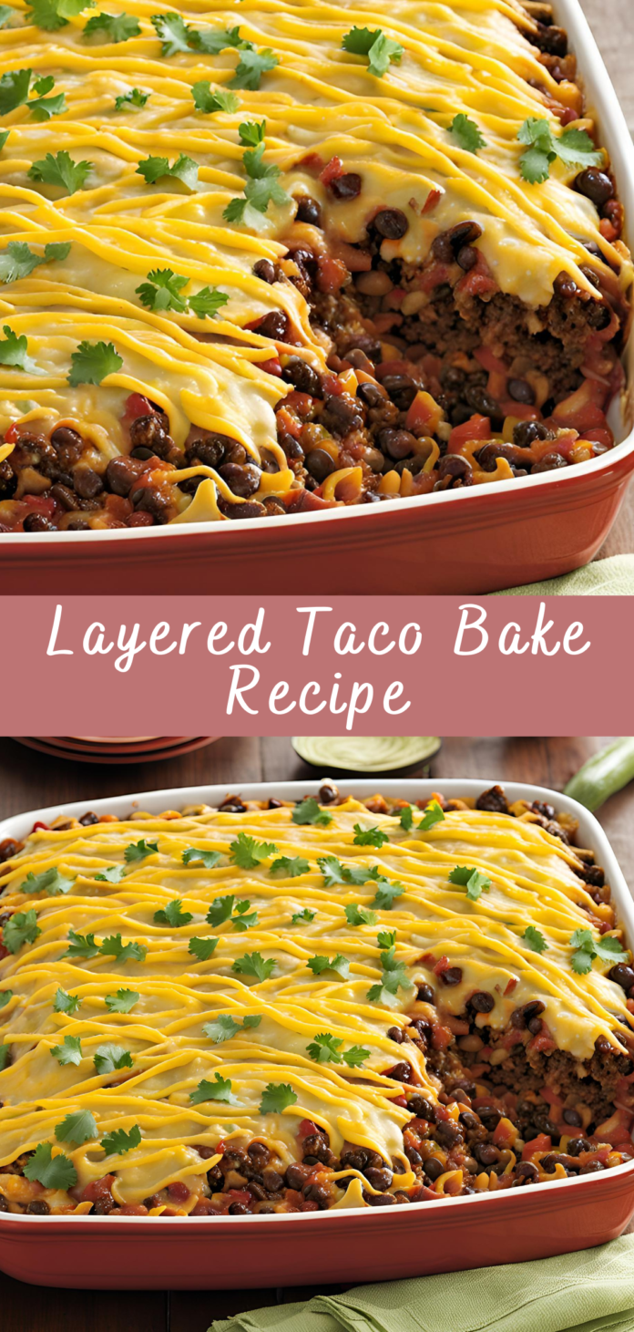 Layered Taco Bake Recipe | Cheff Recipes