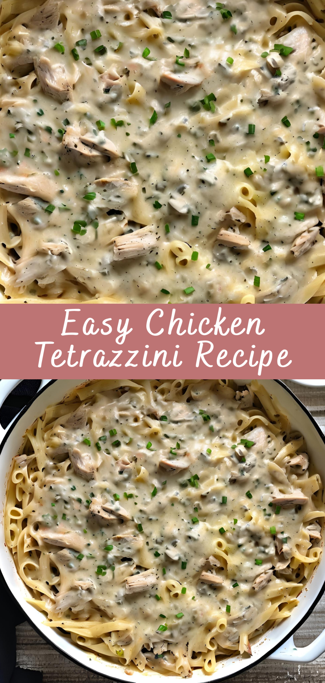 Easy Chicken Tetrazzini Recipe | Cheff Recipes