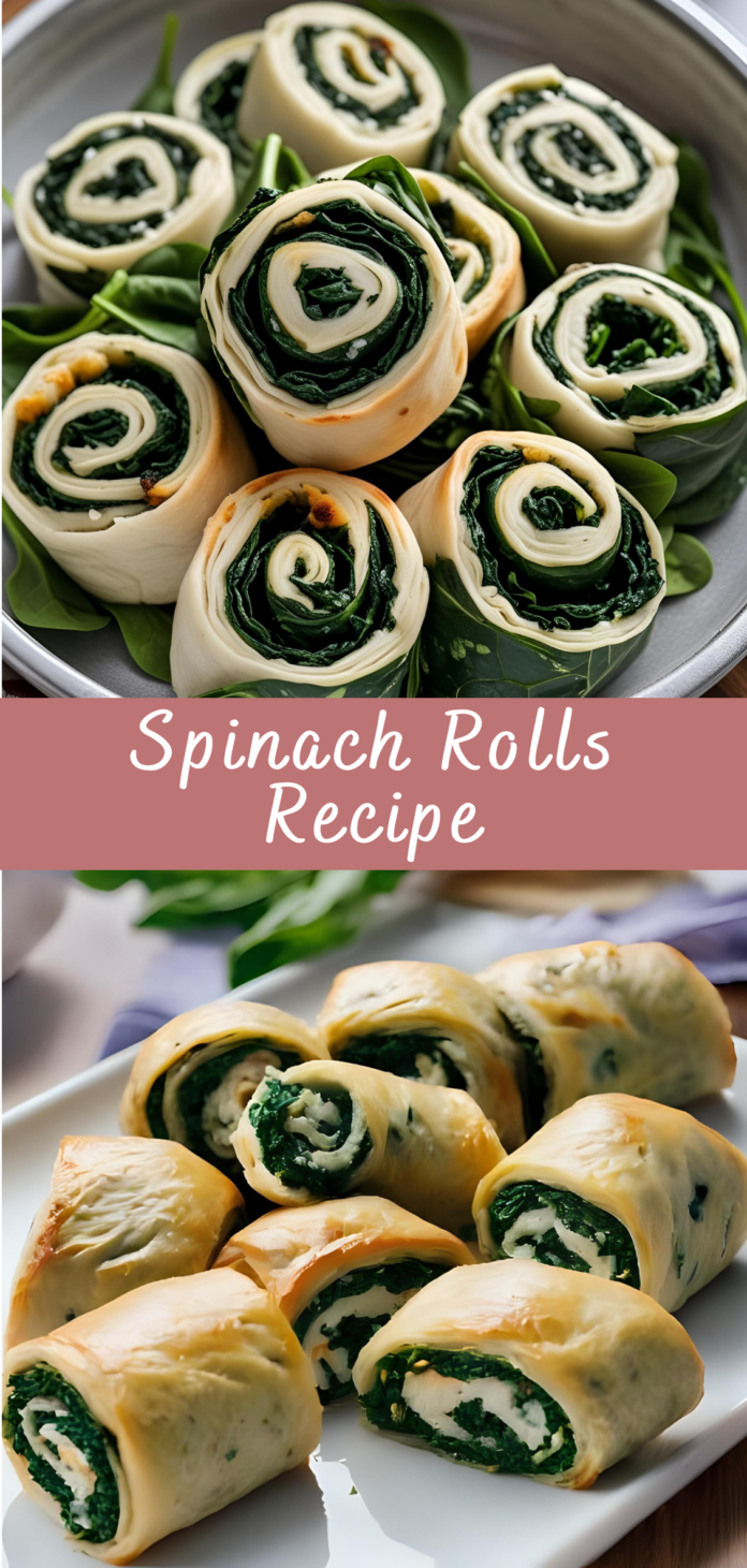 Spinach Rolls Recipe | Cheff Recipes