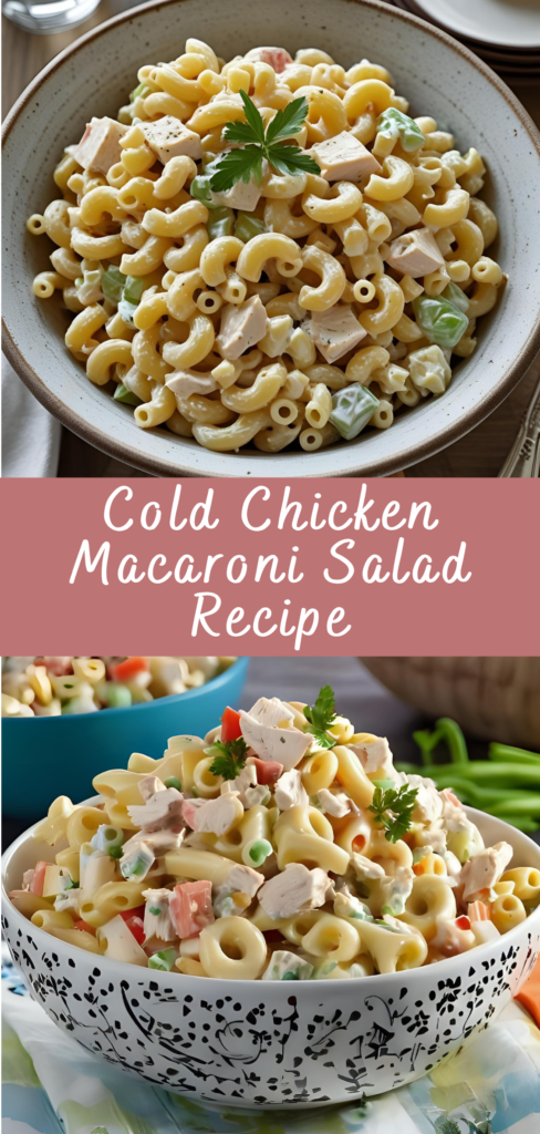 Cold Chicken Macaroni Salad Recipe | Cheff Recipes