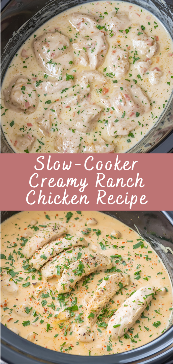 Slow-Cooker Creamy Ranch Chicken Recipe | Cheff Recipes