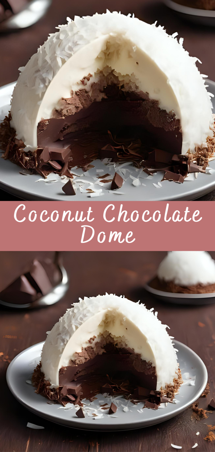 Coconut Chocolate Dome | Cheff Recipes
