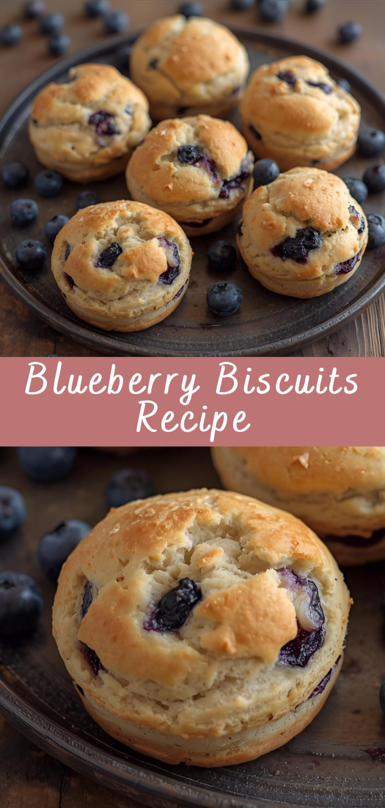 Blueberry Biscuits Recipe | Cheff Recipes