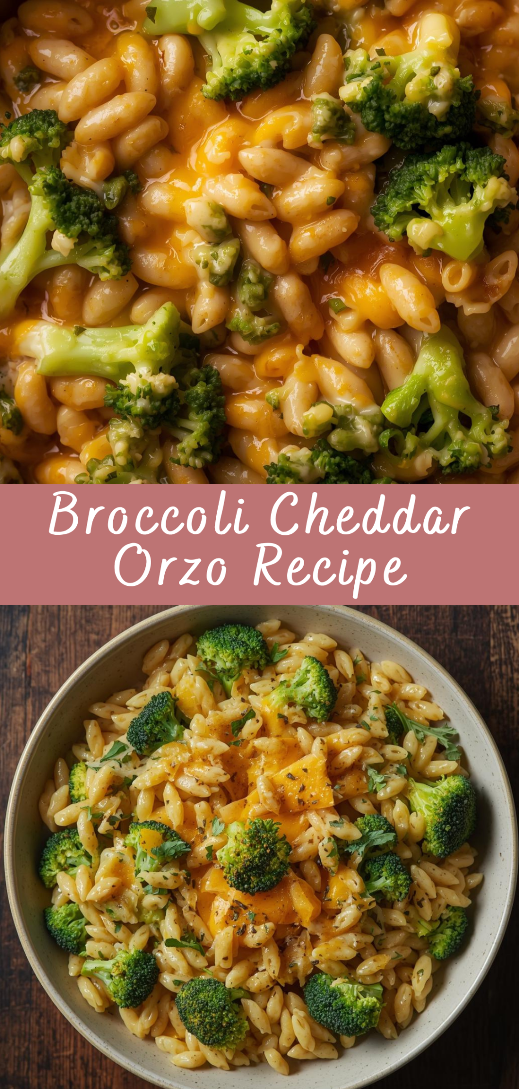 Broccoli Cheddar Orzo Recipe | Cheff Recipes
