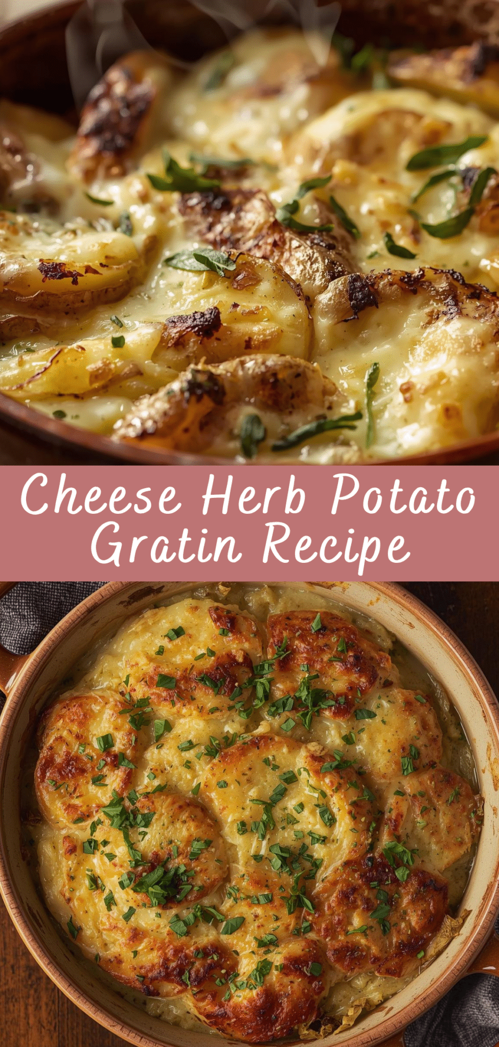 Cheese Herb Potato Gratin Recipe | Cheff Recipes