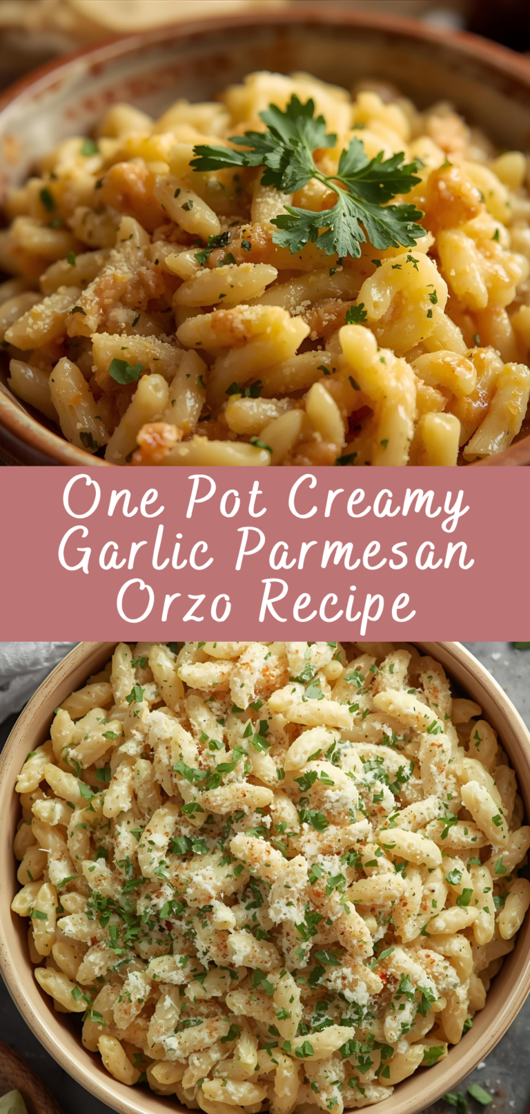 One Pot Creamy Garlic Parmesan Orzo Recipe | Cheff Recipes