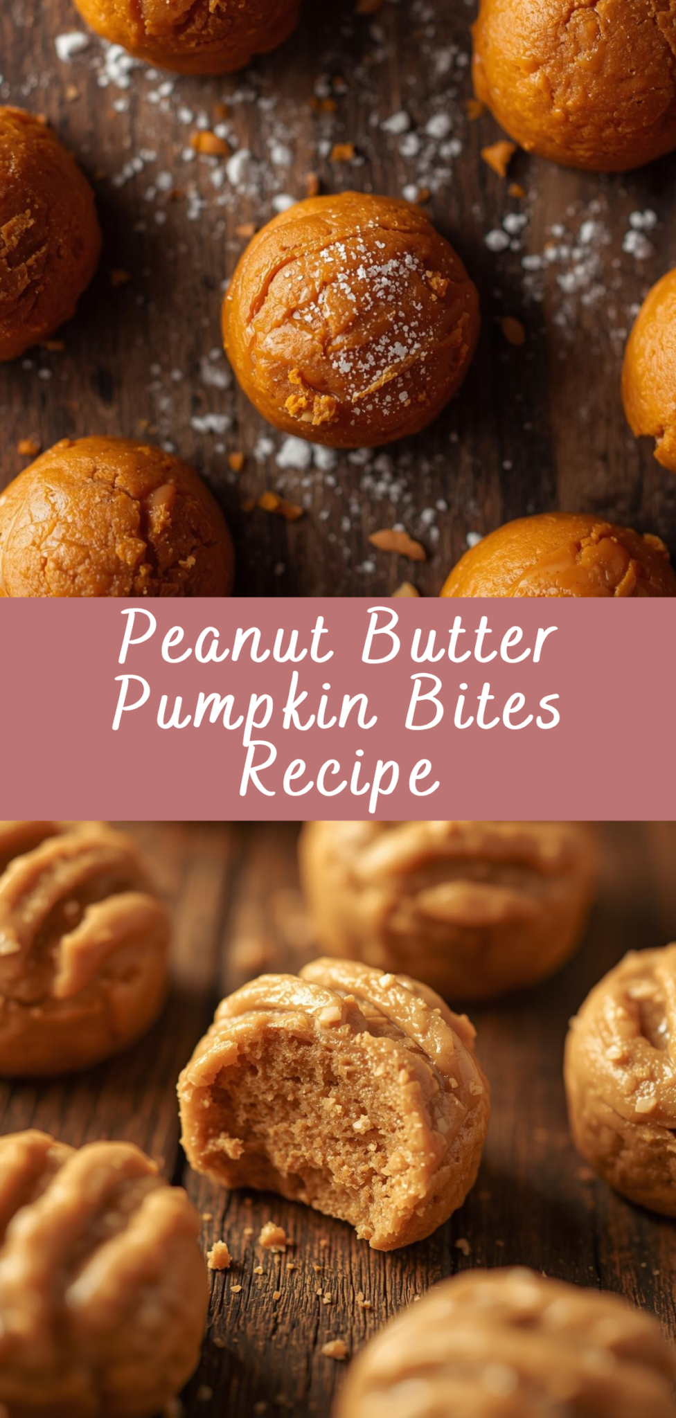 Peanut Butter Pumpkin Bites Recipe | Cheff Recipes