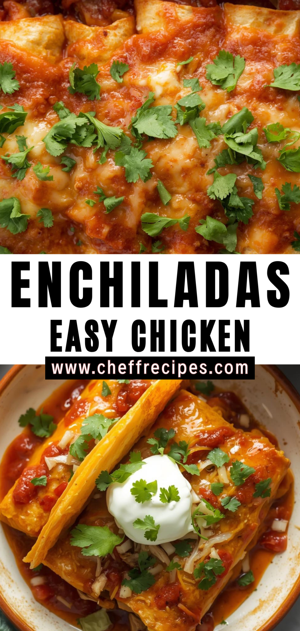 Easy Chicken Enchiladas | Cheff Recipes